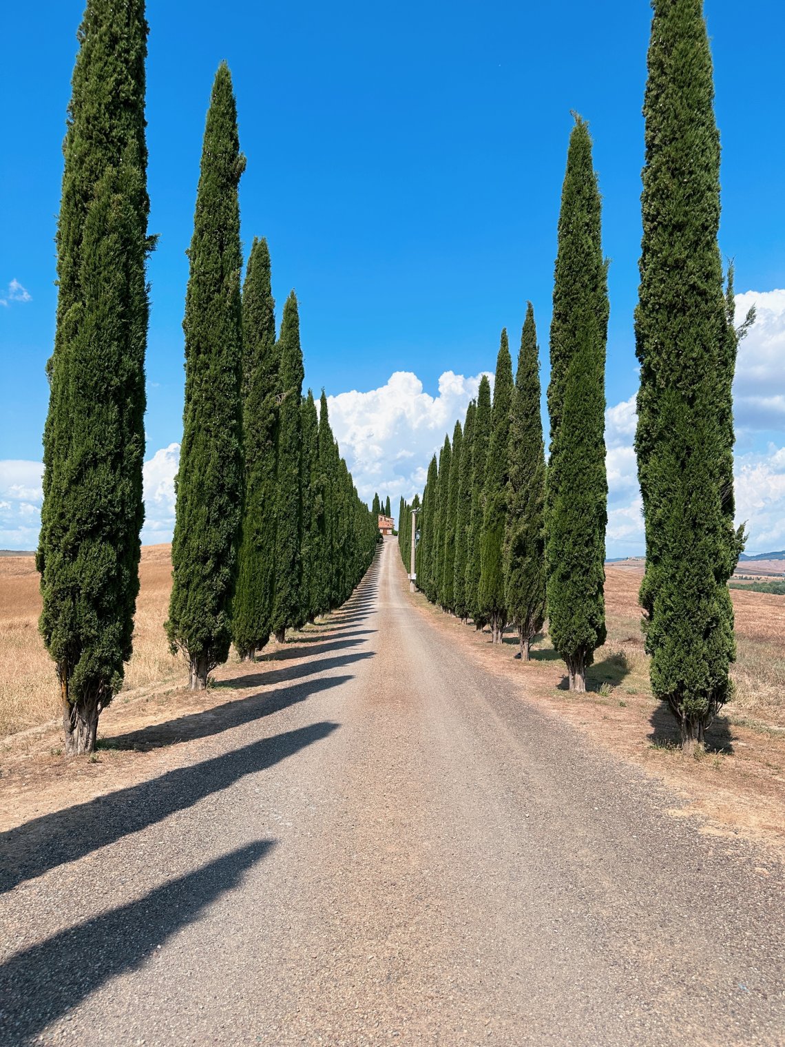 Family Friendly Travel Guide to Tuscany - Life With Bugo