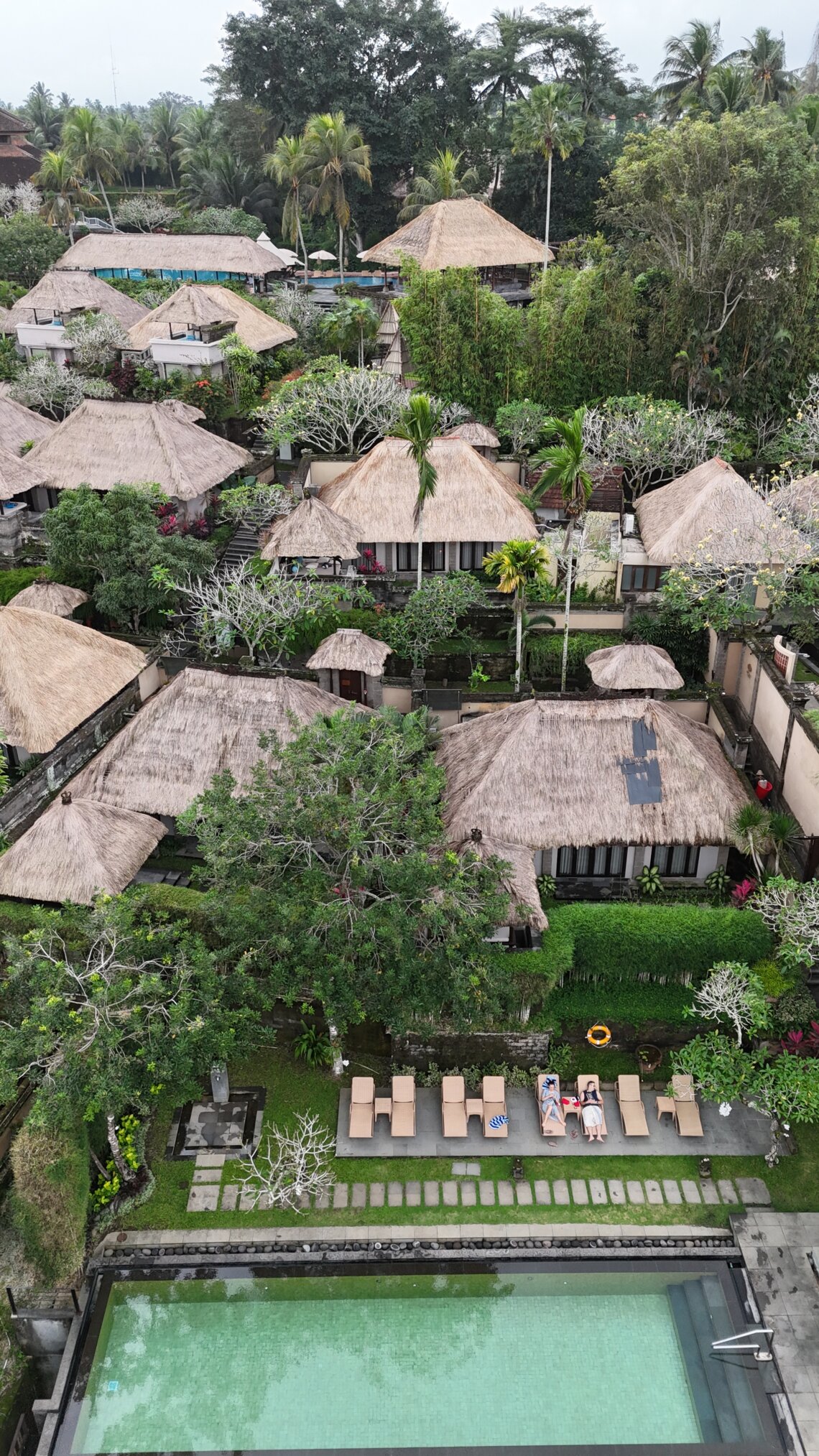The best things to do in Ubud Bali - Life With Bugo